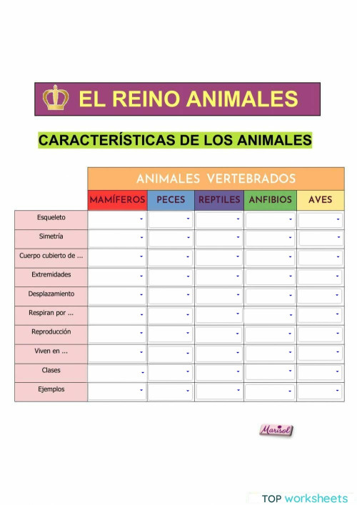 Características Animales Vertebrados e Invertebrados cuadro. Ficha ...