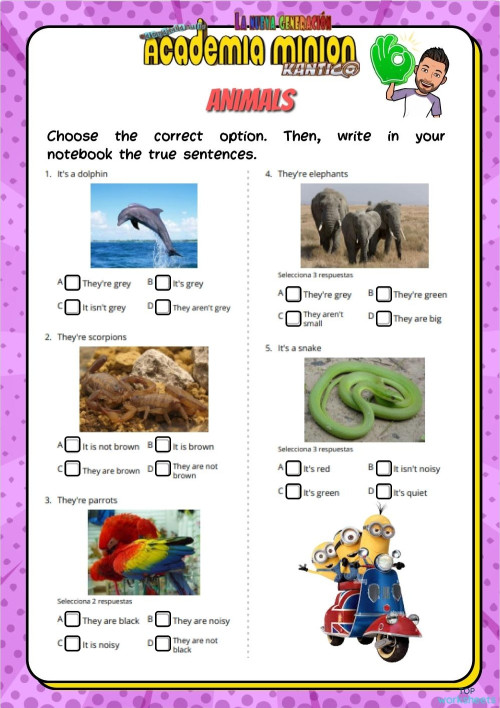 Determinants: interactive worksheets and online exercises | TopWorksheets