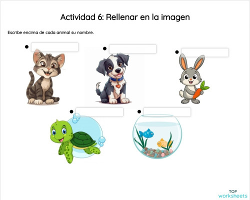 Actividad 6: Rellenar en la imagen. Ficha interactiva | TopWorksheets