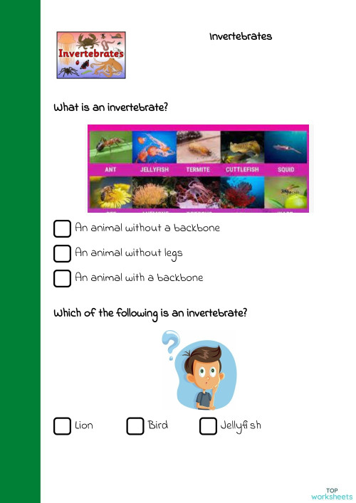 Invertebrates. Interactive worksheet | TopWorksheets