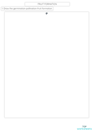 FRUIT FORMATION. Interactive worksheet | TopWorksheets