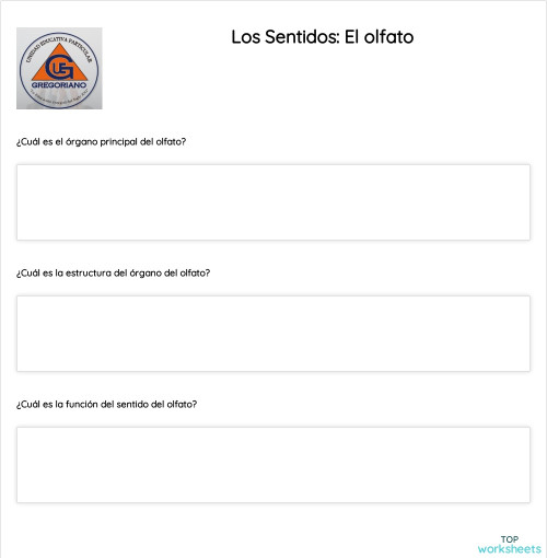 Los Sentidos: El olfato. Ficha interactiva | TopWorksheets