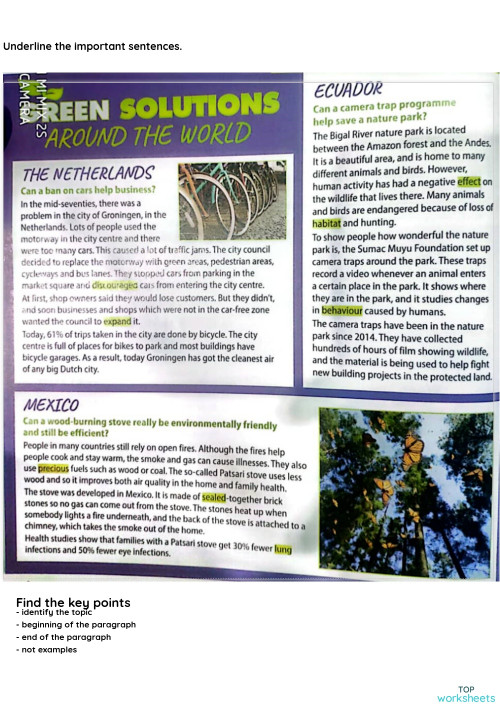 Summary Writing - Green Solutions - Finding Key Points. Interactive ...