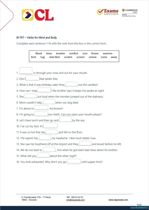 VOcabulary B1. Interactive worksheet | TopWorksheets