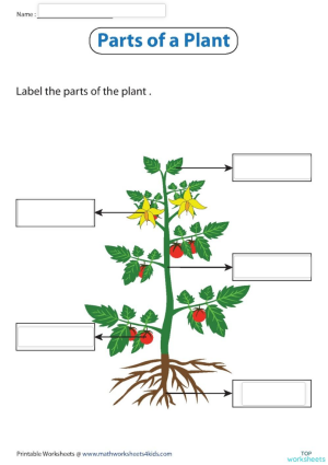 science yr 4. Interactive worksheet | TopWorksheets