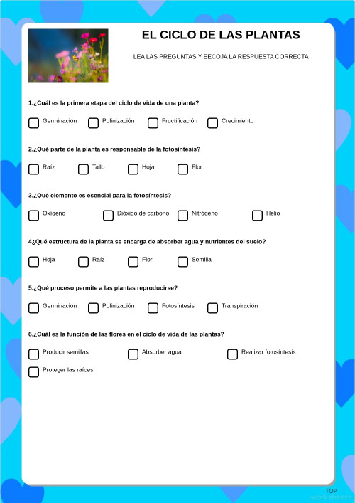 LAS PLANTAS. Ficha interactiva | TopWorksheets