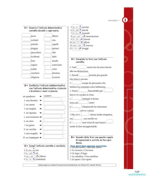 ARTICOLO DETERMINATIVO. Interactive worksheet | TopWorksheets