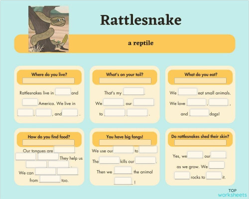 Rattlesnake. Interactive worksheet | TopWorksheets