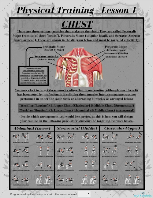 Lesson 1: Metabolism. Interactive worksheet | TopWorksheets