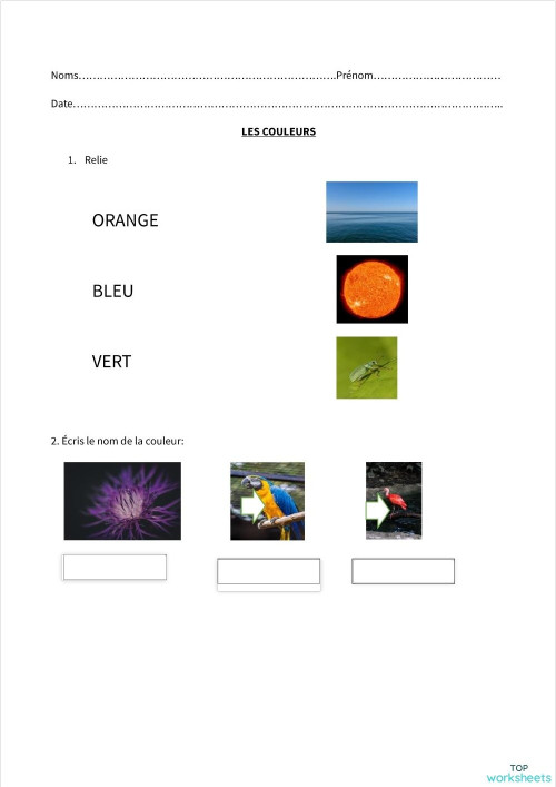 LES COULEURS. Fiche interactive | TopWorksheets