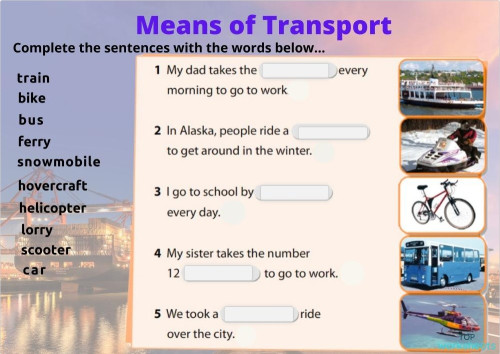 quizz vocabulary. Interactive worksheet | TopWorksheets