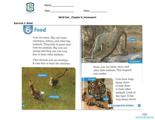 WILD CATS_CHAPTER 6_FEB 25. Interactive worksheet | TopWorksheets