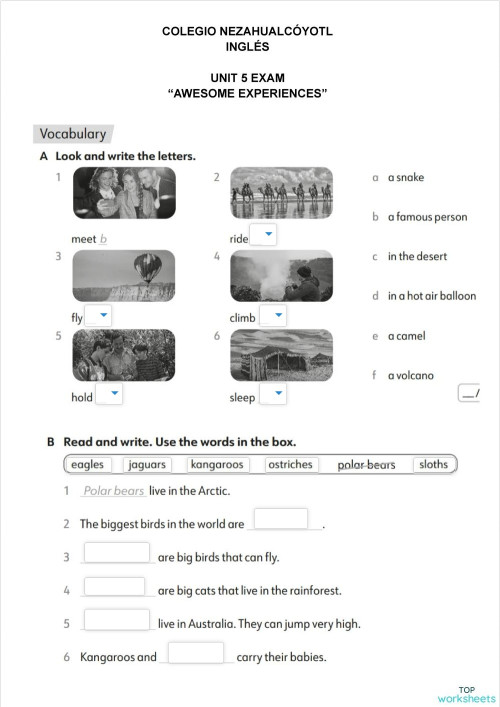 6th Grade Unit 5 Exam. Ficha interactiva | TopWorksheets