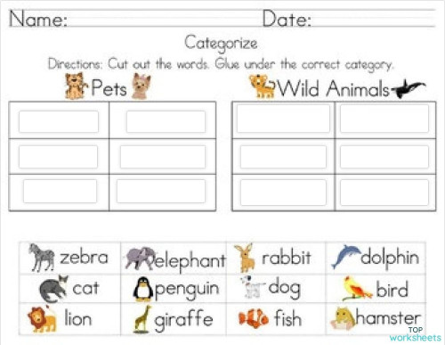 Categorize animals. Interactive worksheet | TopWorksheets