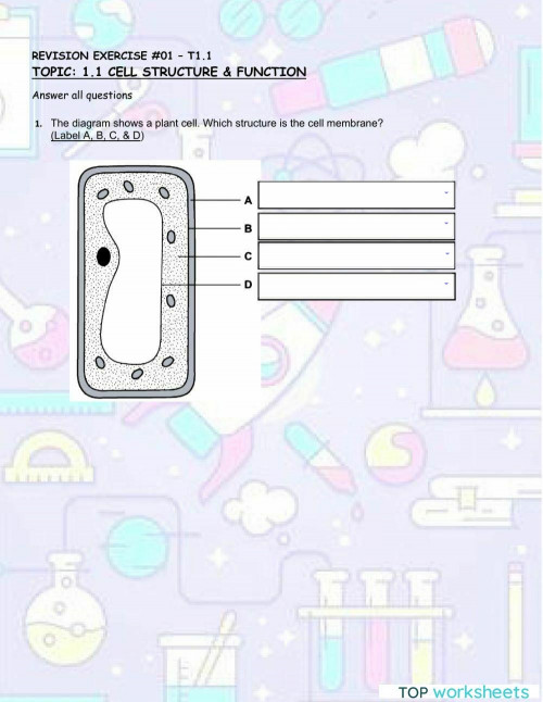 Specialised cells interactive. Interactive worksheet | TopWorksheets