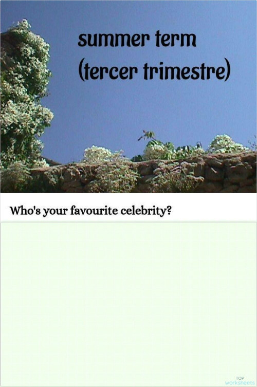 Separator 3rd term - writing. Interactive worksheet | TopWorksheets