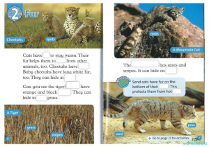 Homework_ORD_Wild cats_Sep 29. Interactive worksheet | TopWorksheets