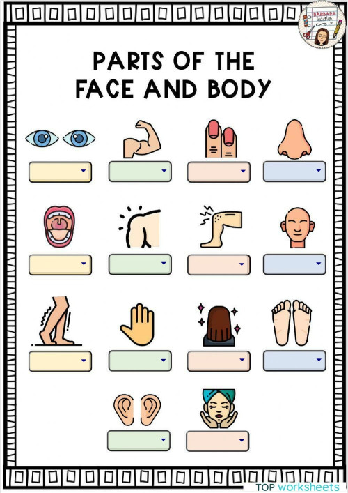 Parts of the face and body. Interactive worksheet | TopWorksheets