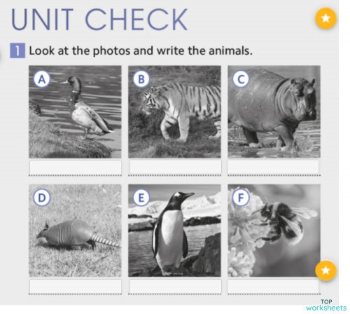 Animal magic Unit check. Interactive worksheet | TopWorksheets