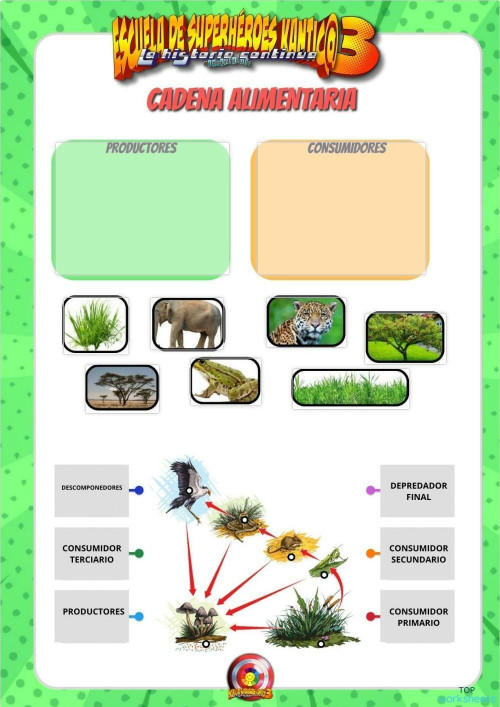 Copia de FOOD CHAINS. Ficha interactiva | TopWorksheets