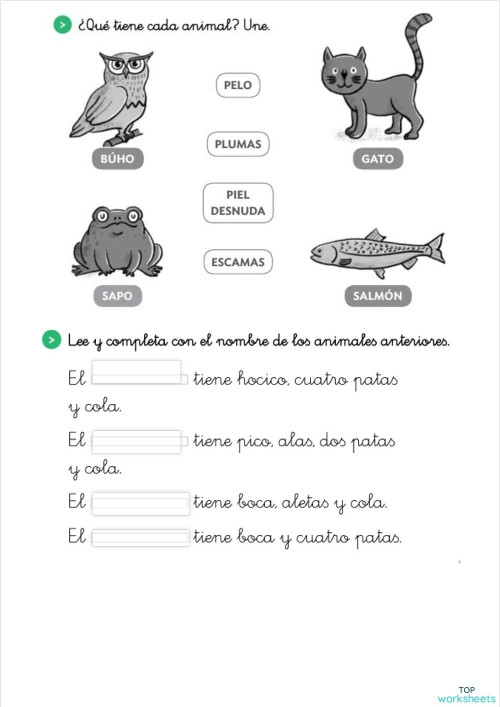 1º Primaria: fichas interactivas y ejercicios online | TopWorksheets