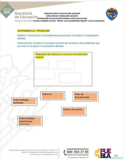 Ecosistemas: fichas interactivas y ejercicios online | TopWorksheets