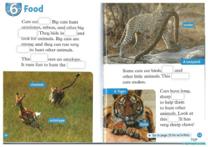 Oct 27_Wild cats_Chapter 6. Interactive worksheet | TopWorksheets