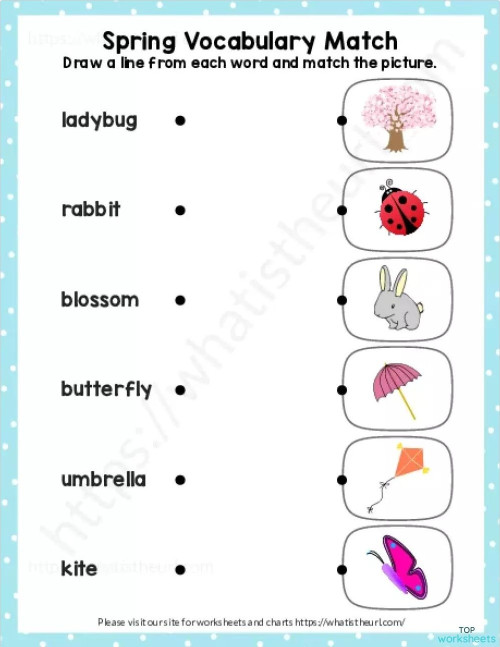 Spring vocabulary. Interactive worksheet | TopWorksheets