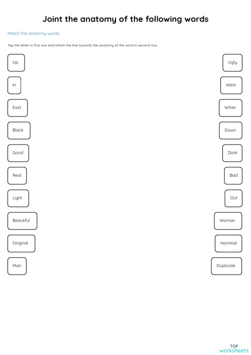 Joint the anatomy of the following words. Interactive worksheet ...