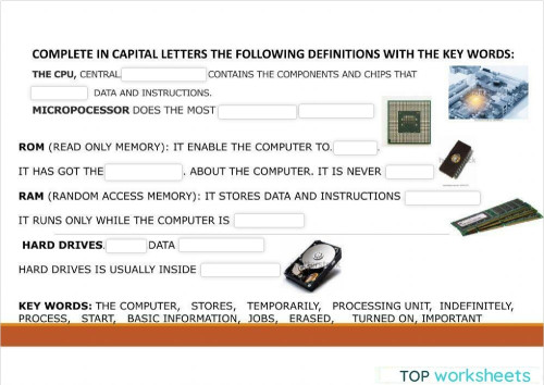 Computer components. Interactive worksheet | TopWorksheets