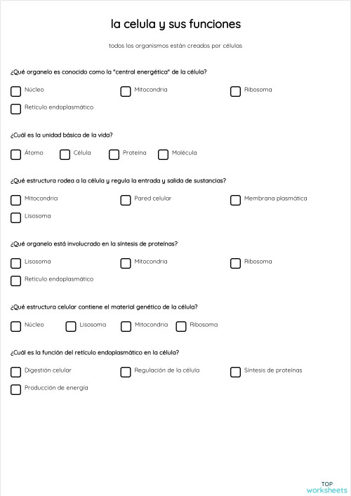 la celula y sus funciones. Ficha interactiva | TopWorksheets