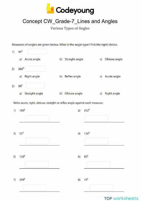 Various Types of Angles Concept CW. Interactive worksheet | TopWorksheets