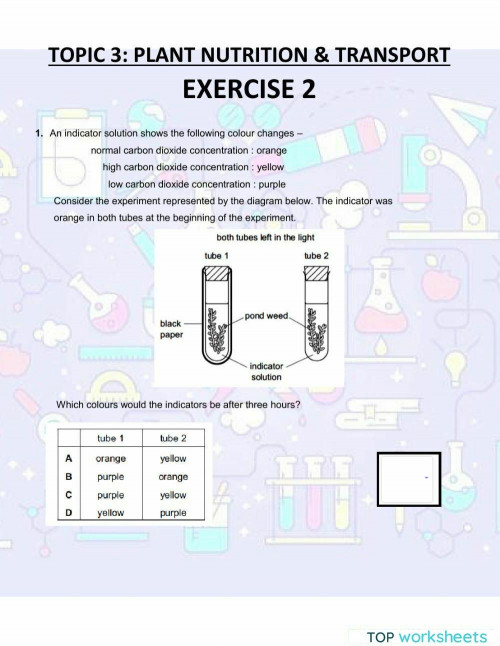 Plant NUtrition and Transport interactive. Interactive worksheet ...