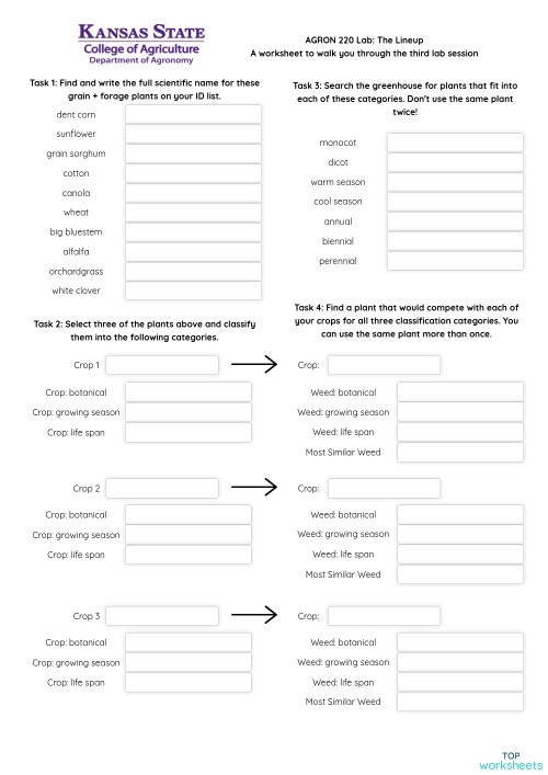 Plant Cell. Interactive worksheet | TopWorksheets
