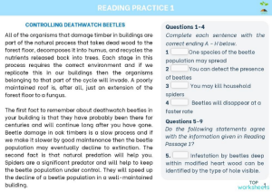 IELTS READING PRACTICE 1. Interactive worksheet | TopWorksheets