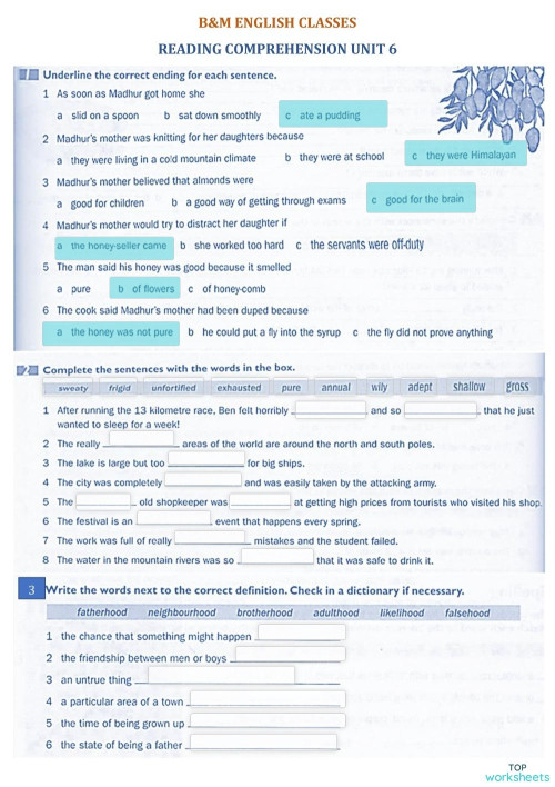 READING COMPREHENSION UNIT 6. Interactive worksheet | TopWorksheets
