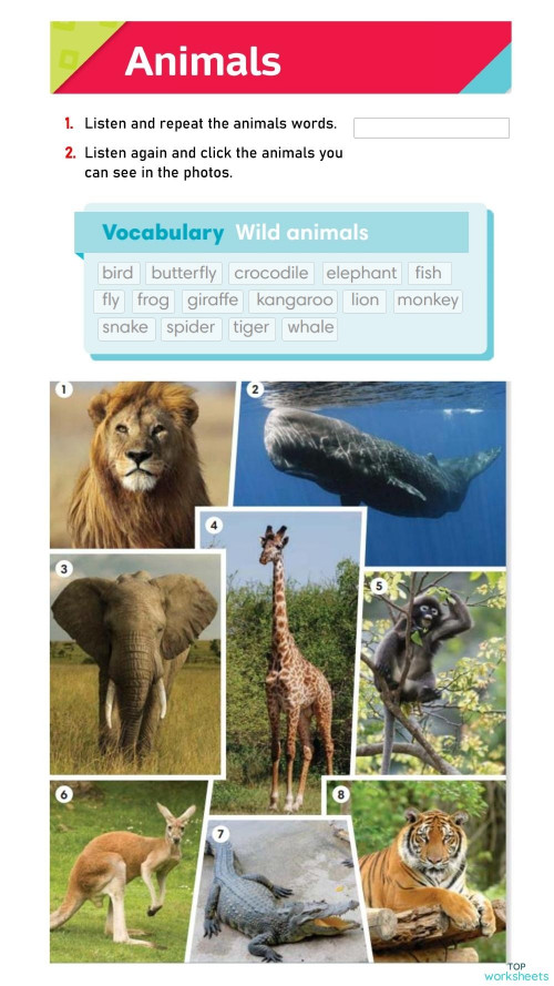 Animals vocabulary. Interactive worksheet | TopWorksheets