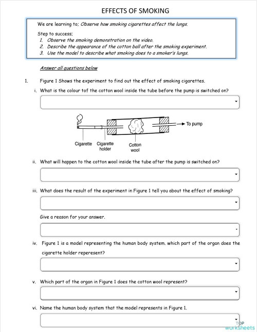 Year 6 - Effects of Smoking 1. Interactive worksheet | TopWorksheets