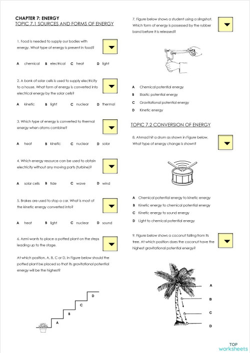 Chapter 7 Energy. Interactive worksheet | TopWorksheets