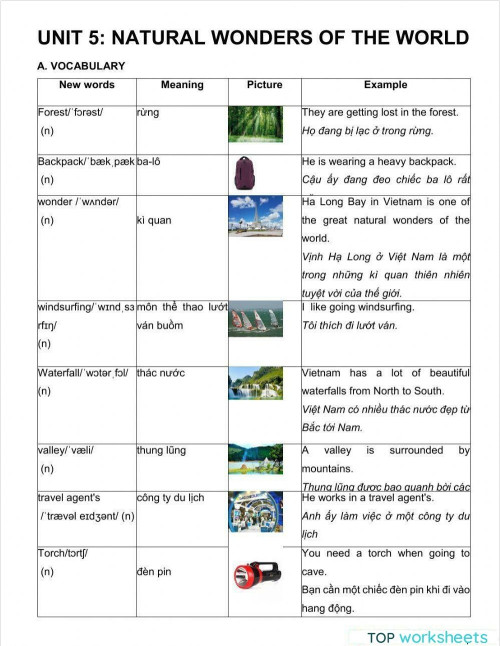Unit 5. Interactive worksheet | TopWorksheets