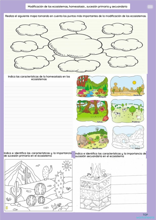Hoja De Trabajo Sobre La Sucesión En Los Ecosistemas