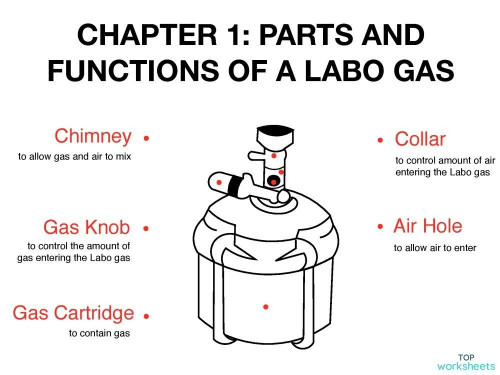 Parts and Functions of a Labo gas. Interactive worksheet | TopWorksheets