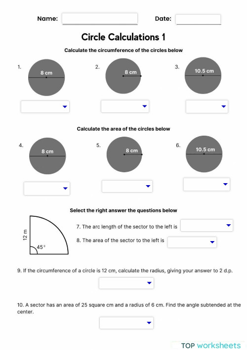 Circle Calculations 1. Interactive worksheet | TopWorksheets