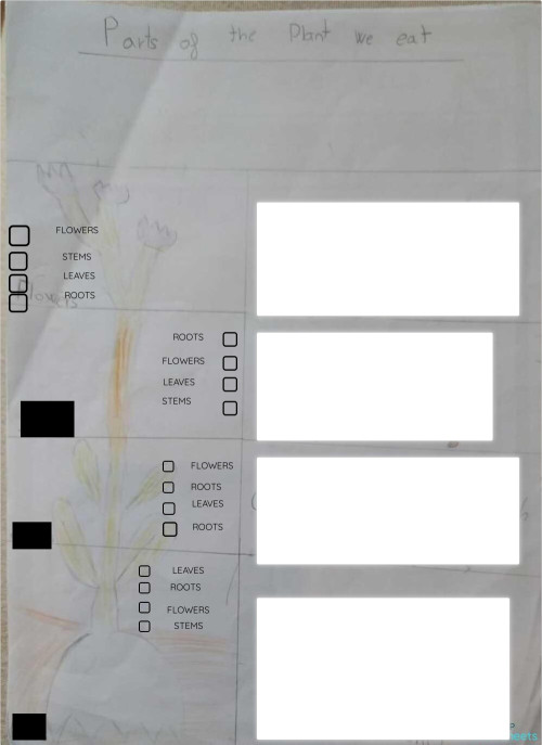 PARTS OF PLANT WE EAT. Interactive worksheet | TopWorksheets