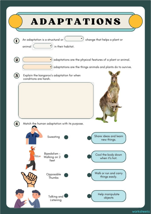 Adaptations (2024). Interactive worksheet | TopWorksheets