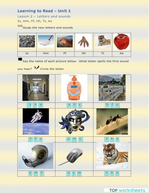 Literacy unit 1 lesson 2. Interactive worksheet | TopWorksheets