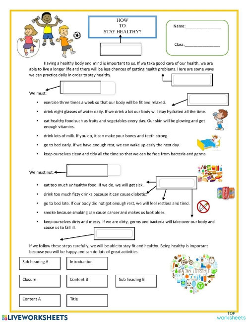 Structure of Leaflet. Interactive worksheet | TopWorksheets