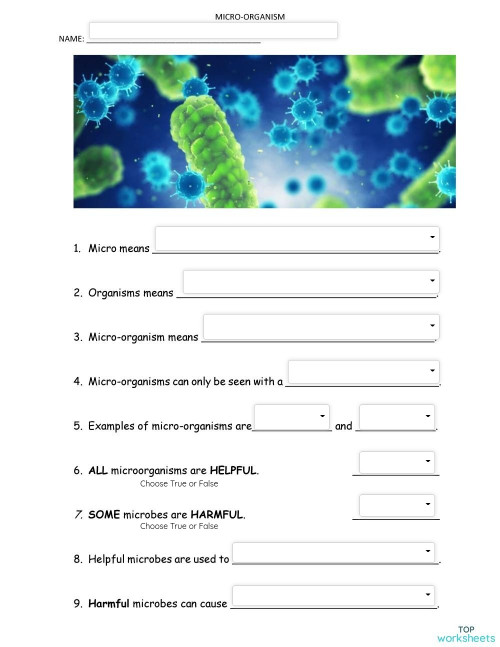 Year 5 -Microorganisms. Interactive worksheet | TopWorksheets