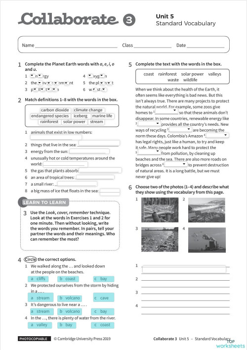VOCABULARY UNIT 5. Interactive worksheet | TopWorksheets