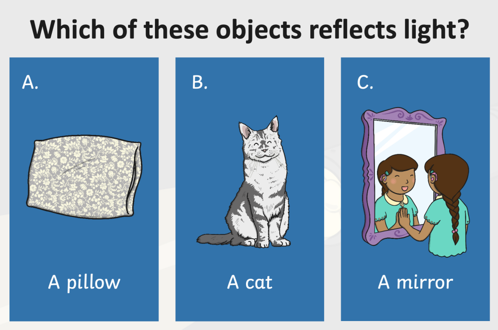 Science 2 Exam - Light and shades. Interactive worksheet | TopWorksheets